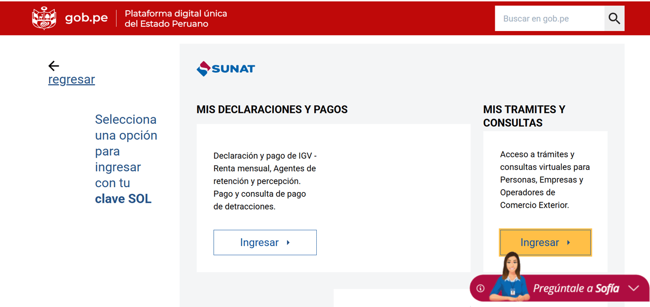 Altas y Bajas Sunat (T-Registro)